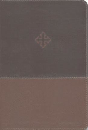 Amplified Study Bible Imit Leather Brown Large Print. Christian ...